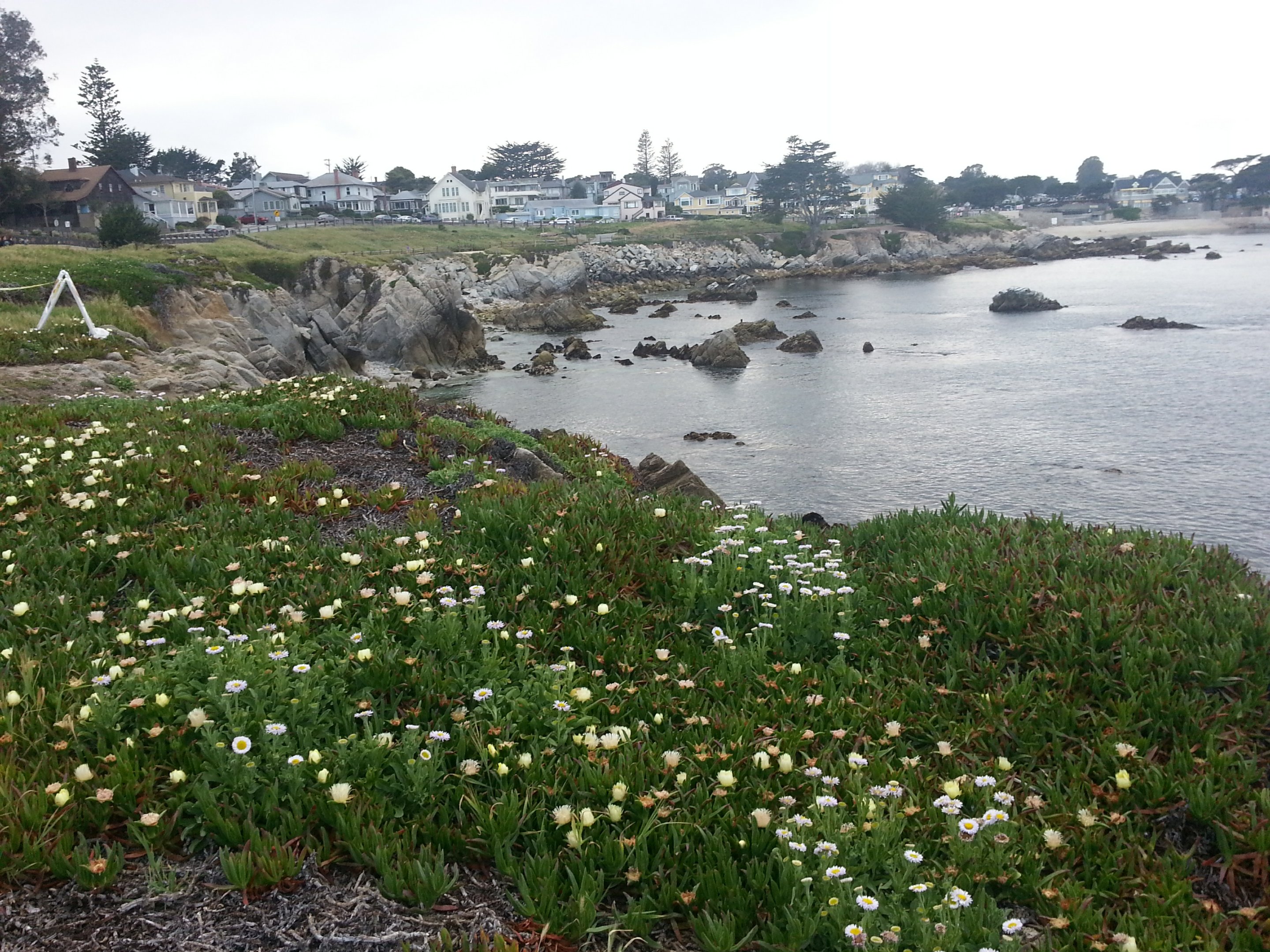 South OC Beaches Tides and Times Wednesday March 4 2020 – South OC Beaches