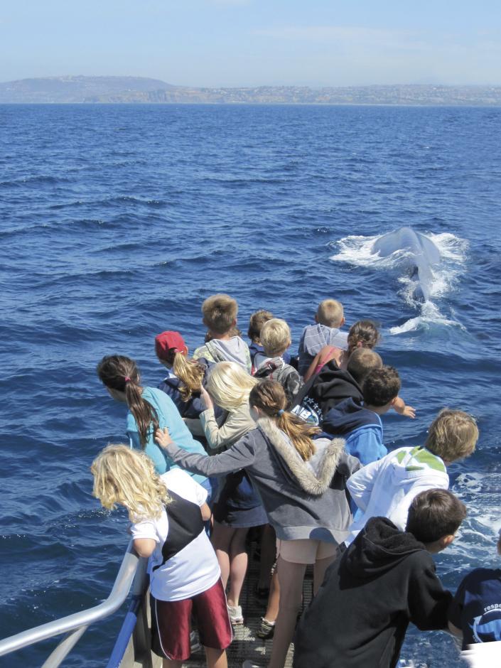 Dana Point Named First Whale Heritage Site in North America January 27 ...