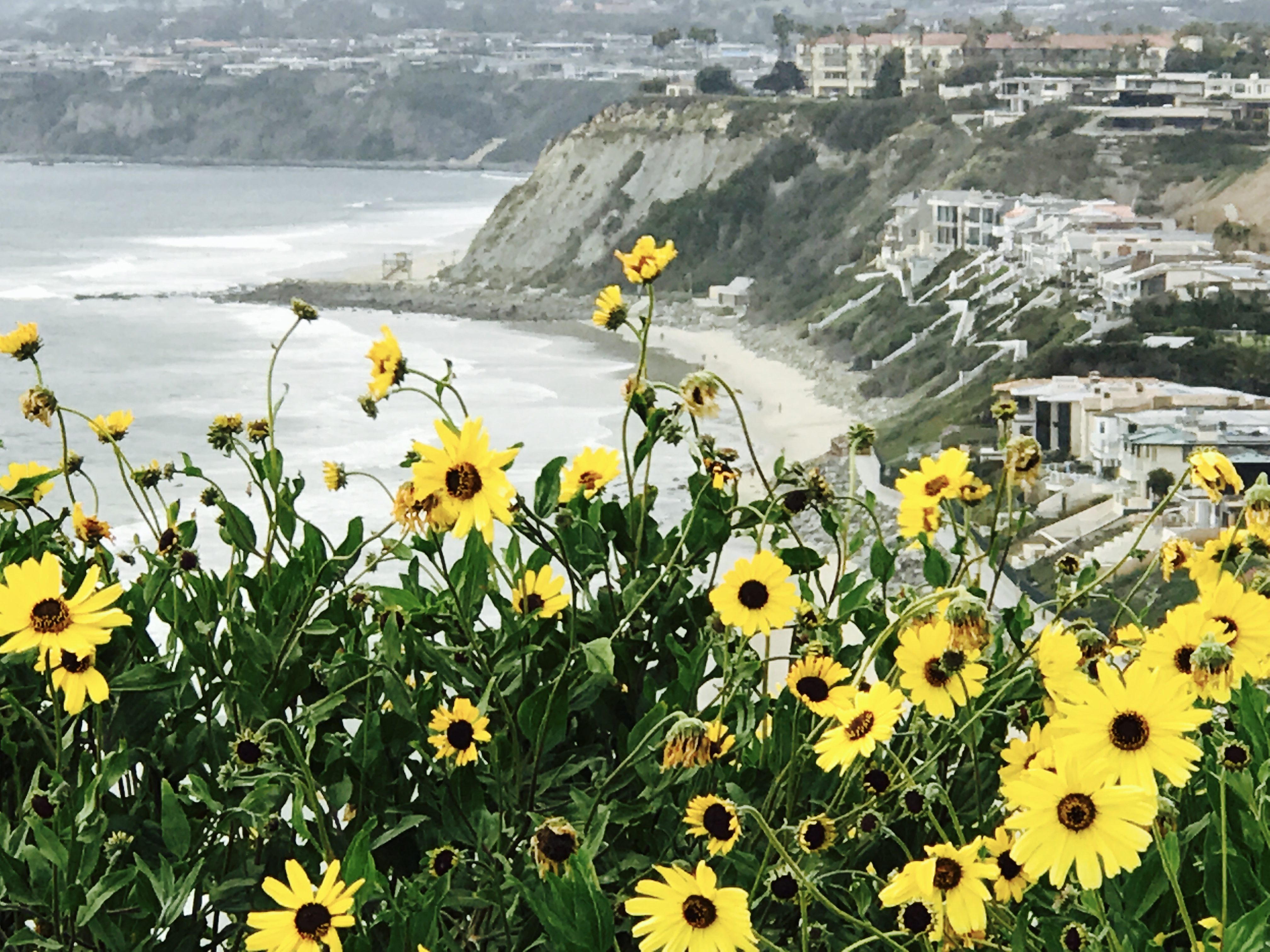 South OC Beaches Tides and Times Easter Sunday April 20 2025 – South OC ...