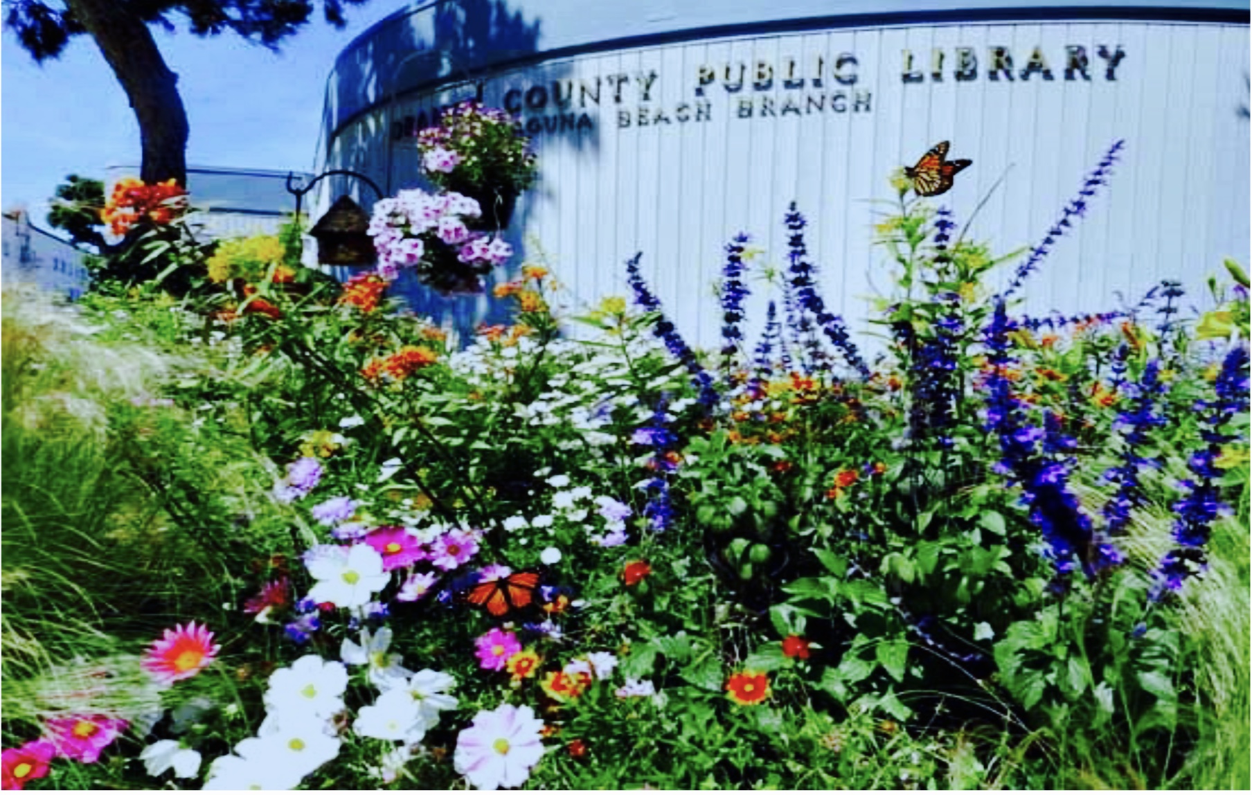 Laguna Beach Library Kids Music Class Tuesday April 14 2026 – South OC ...