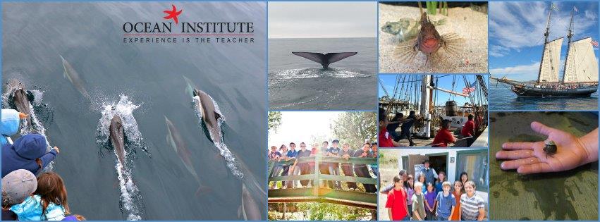Dana Point Ocean Institute Bioluminescence Night Cruise Friday August ...