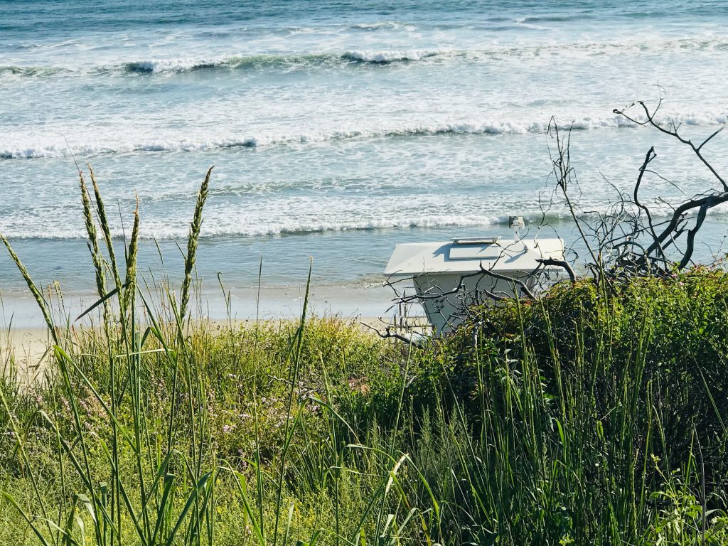 South OC Beaches Tides and Times Saturday July 23 2022 – South OC Beaches