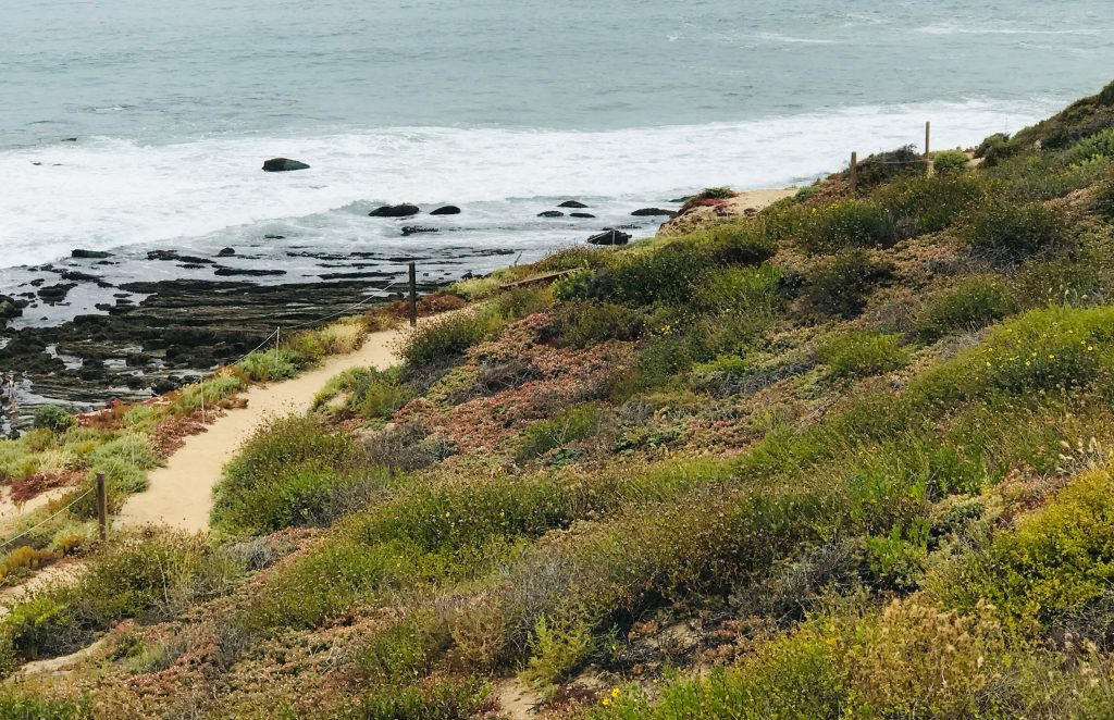 South OC Beaches Tides and Times Wednesday February 19 2025 – South OC ...