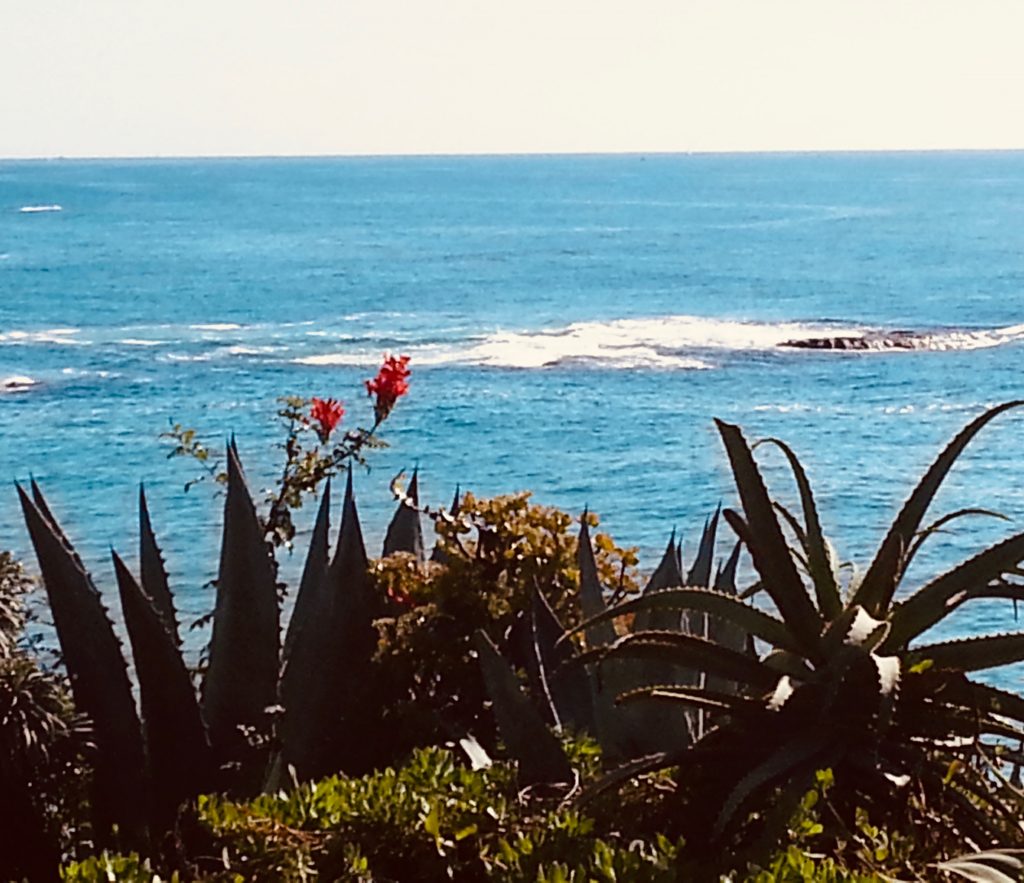 South OC Beaches Tides and Times Tuesday July 7 2020 – South OC Beaches