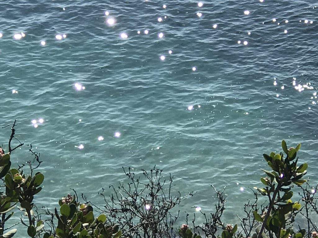 South OC Beaches Tides and Times Saturday April 4 2020 – South OC Beaches