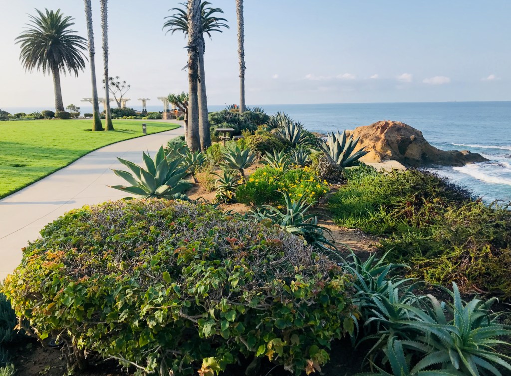 South OC Beaches Tides and Times Friday June 24 2022 – South OC Beaches