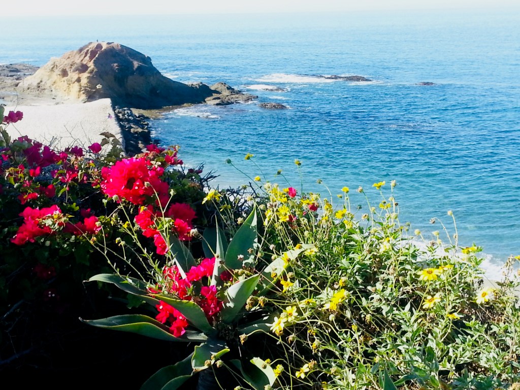 South OC Beaches Tides and Times Monday November 29 2021 – South OC Beaches