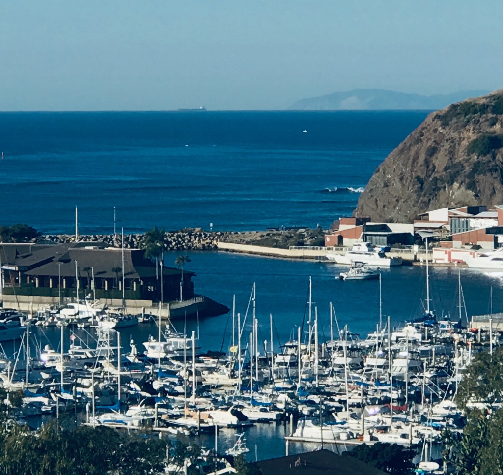 South OC Beaches Tides and Times Monday December 13 2021 – South OC Beaches