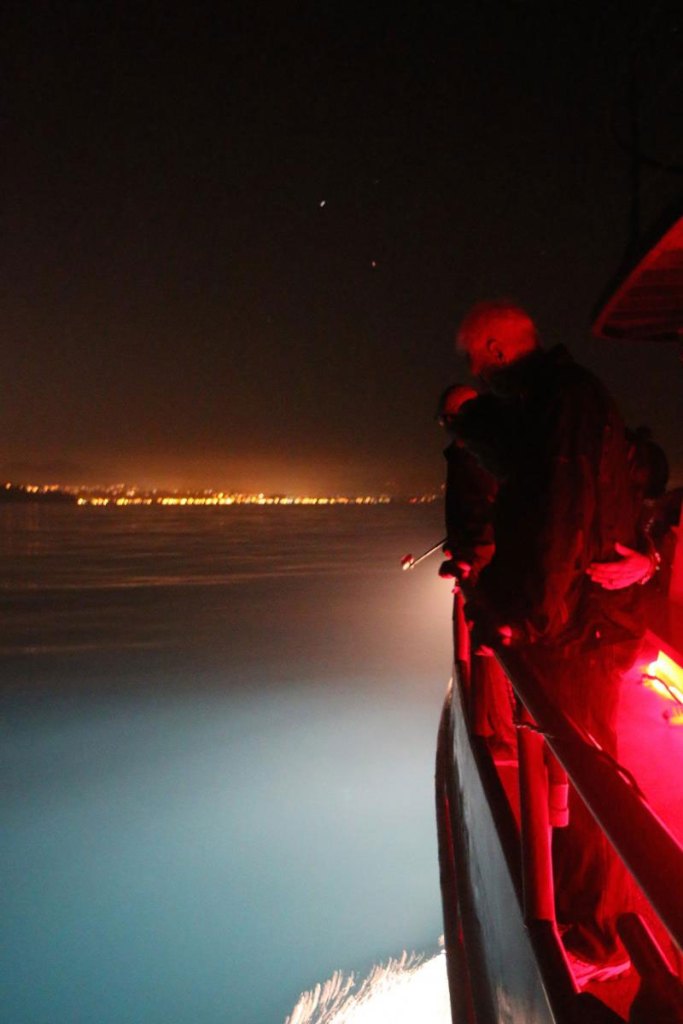 Dana Point Ocean Institute Bioluminescence Night Cruise Saturday July ...