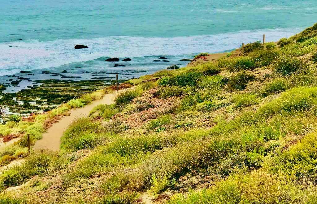 South OC Beaches Tides and Times Saturday December 7 2024 – South OC ...