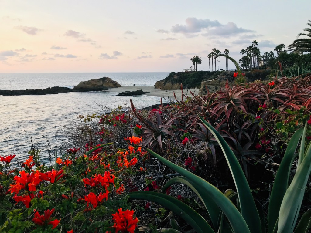 South OC Beaches Tides and Times Friday September 6 2024 – South OC Beaches