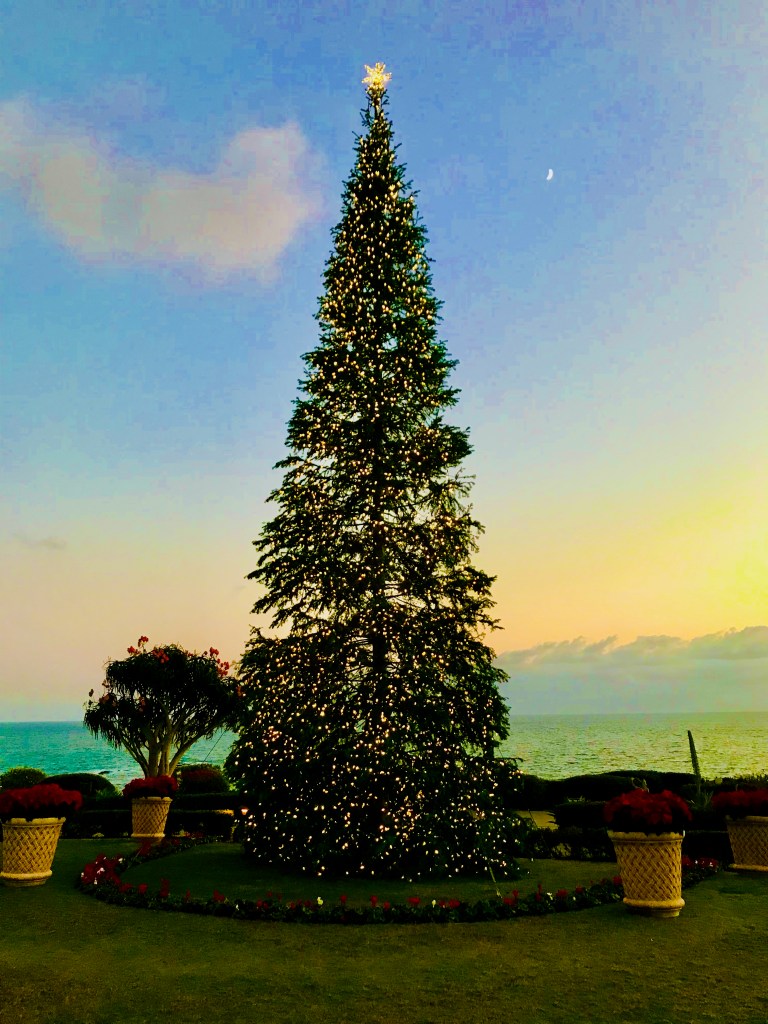 South OC Beaches Tides and Times Thursday December 25 2025 – South OC ...