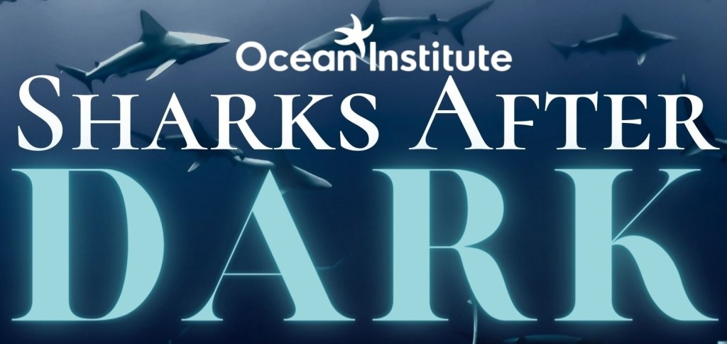 Dana Point Ocean Institute Sharks After Dark Tuesday July 18 2023 – South OC Beaches