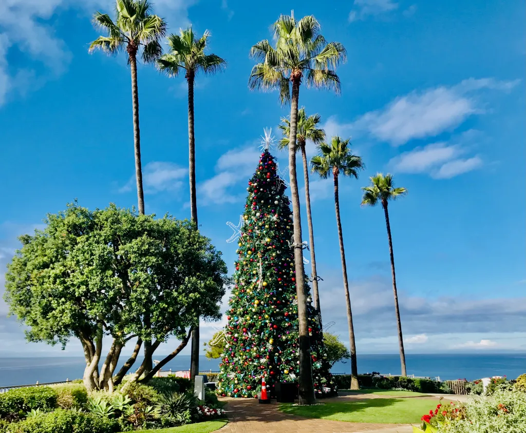 Dana Point Ritz Carlton Holiday Tree Lighting Guide Sunday November 24 ...