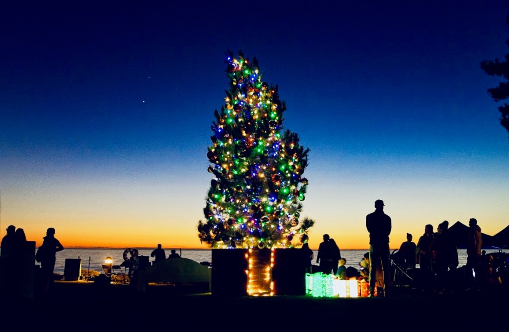 Dana Point Capo Beach Pines Park Holiday Tree Lighting Guide Monday ...
