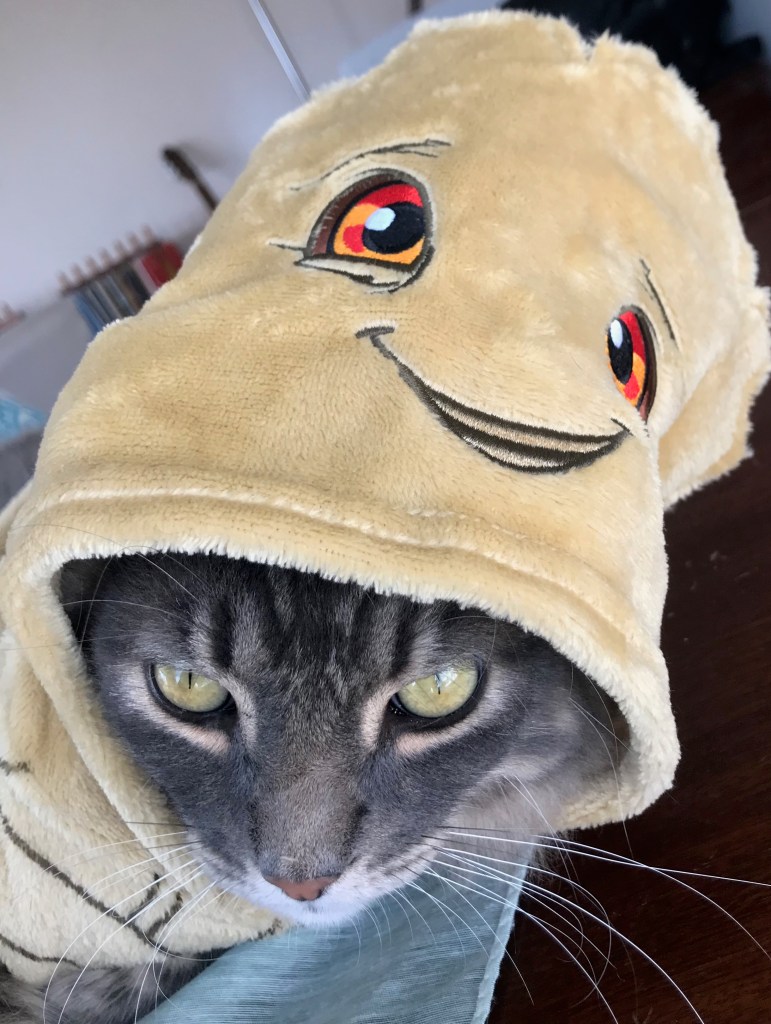 San Diego Comic Con Guide Final Day Sunday July 27 2025 – South OC Beaches