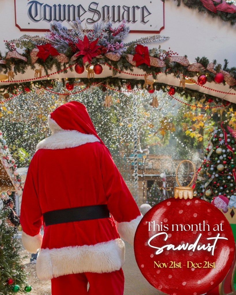 Laguna Beach Sawdust Art Festival Winter Fantasy Shop Small Sunday ...